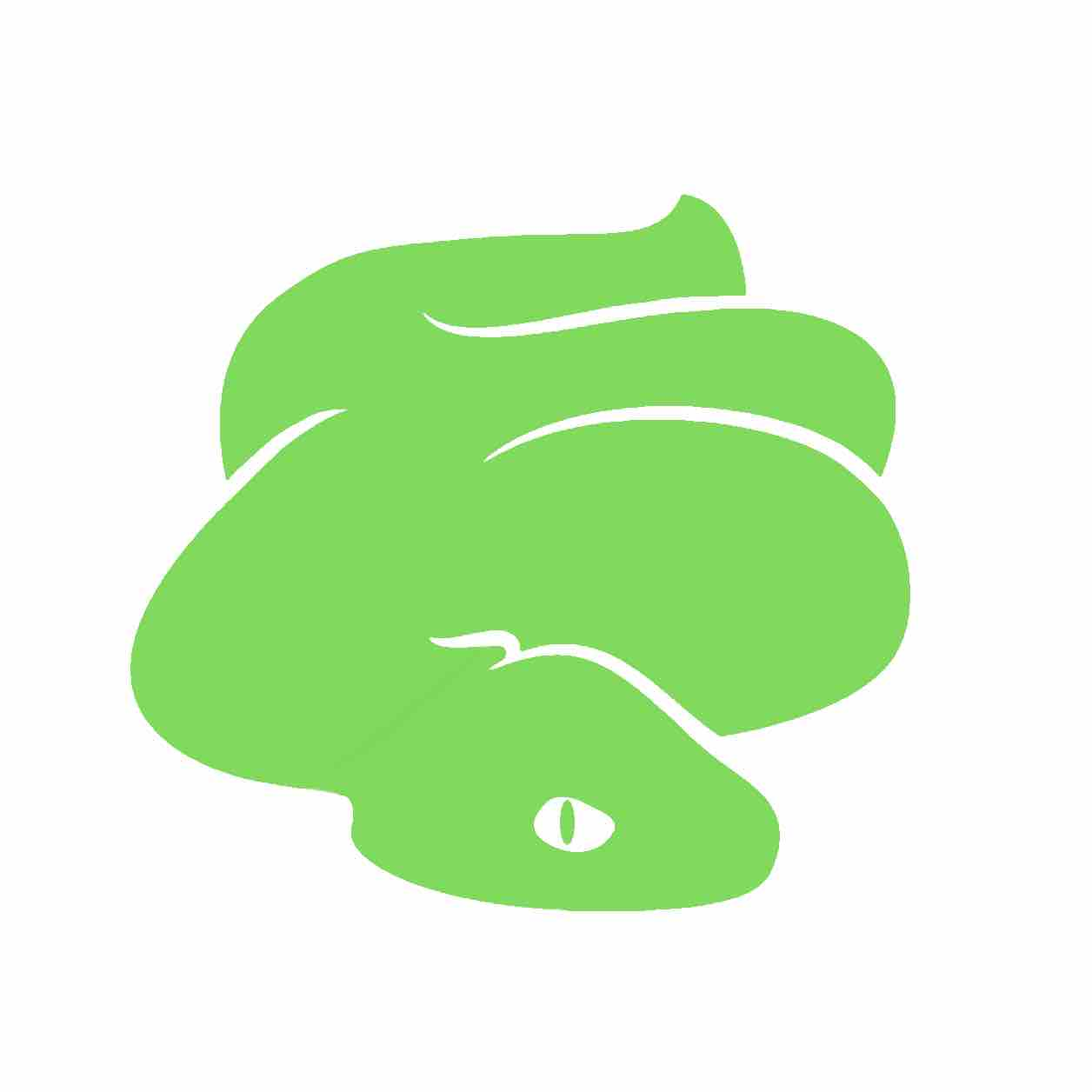 Lace Snake חנות שרוכים לנעליים, נעלי סניקרס ואביזרים, ברבריק ועוד